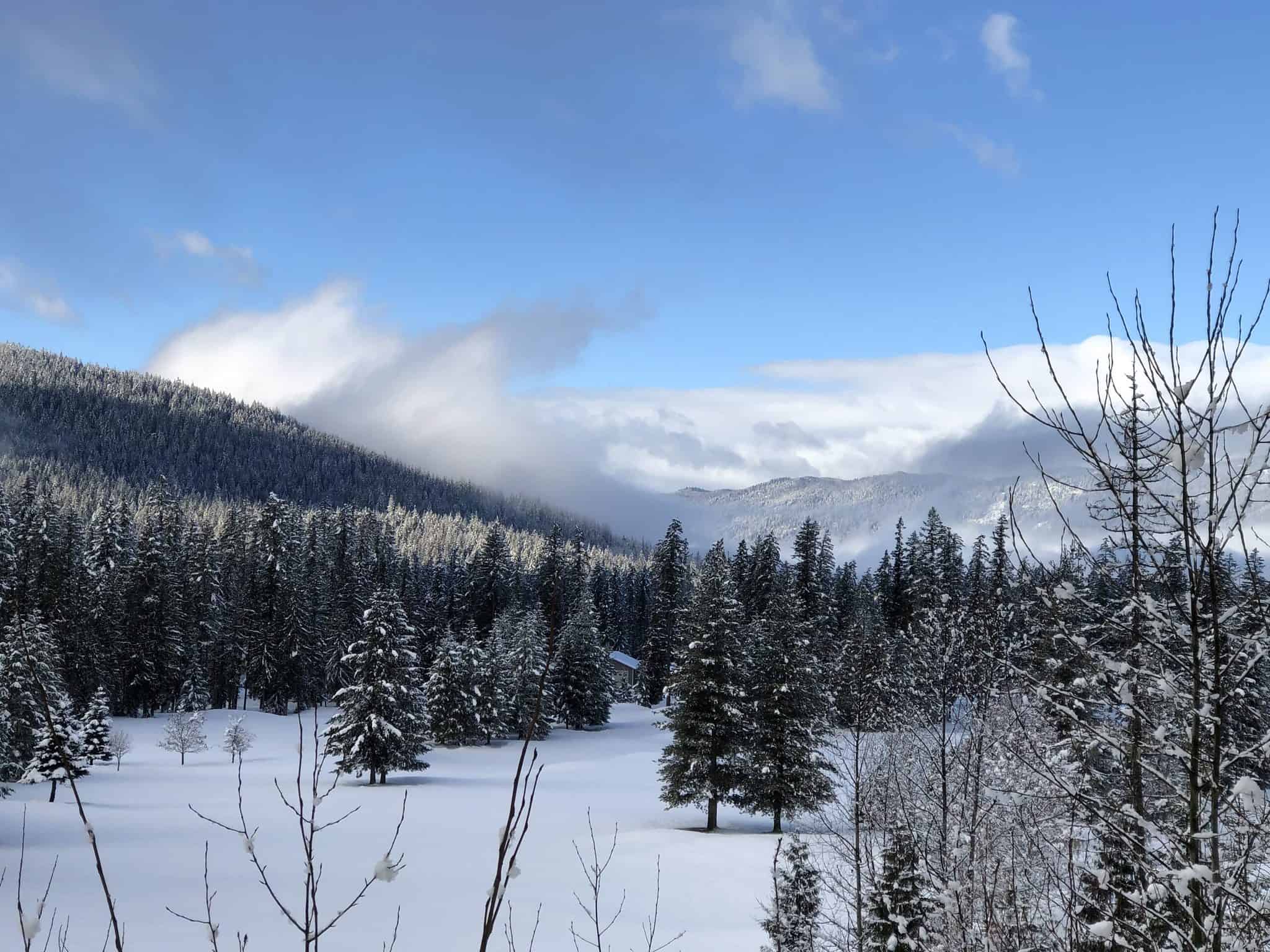 Discover Mabel Lake: Top Winter Activities – Mabel Lake Golf